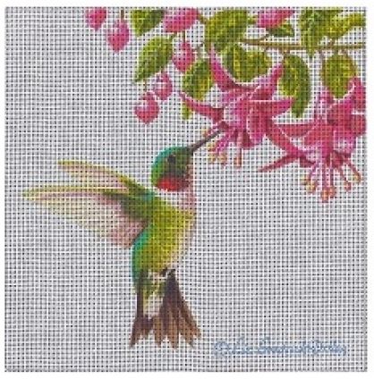 Male Ruby Throated Hummingbird-Liz Goodrick-Dillion-LGDSP407- Stitch G ...